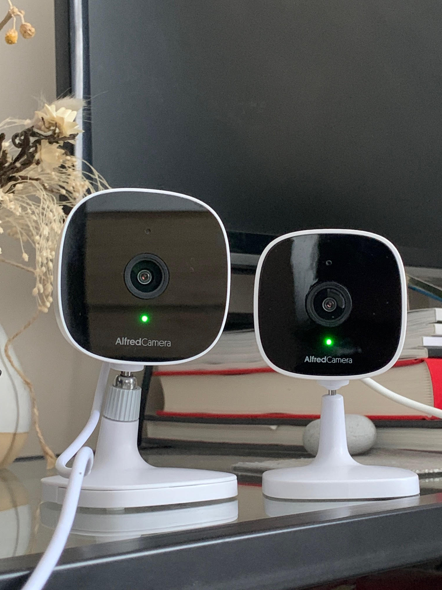 Unboxing AlfredCam Plus: Advanced Outdoor Security Made Budget Friendly ...