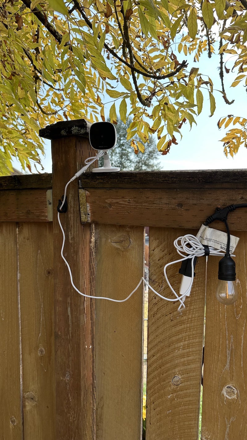 The Best Bird Watching Cameras for Beginners - AlfredCamera Blog