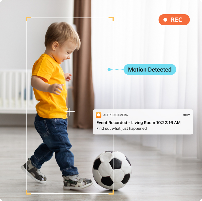 AlfredCamera | Simple Security at Your Fingertips